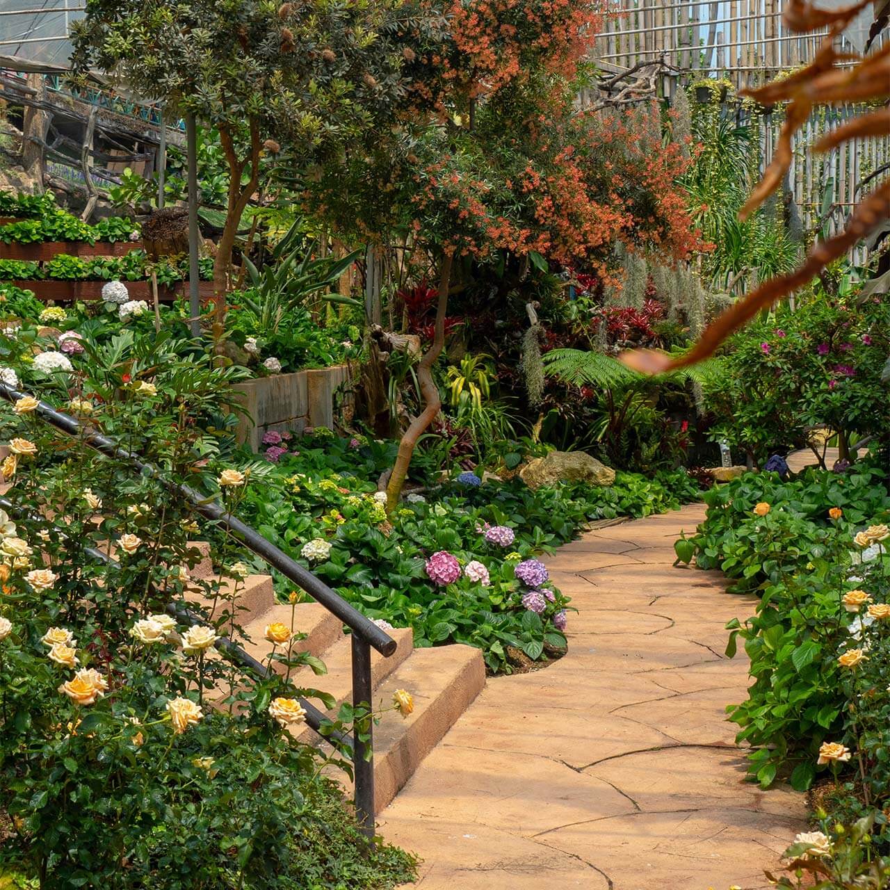 Cateva reguli pentru amenajarea curtii - Casa&Gradina Mea